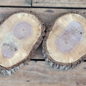 Black Walnut Slabs, Tree Cookies, Set of 2 Rustic Wedding Centerpieces ...