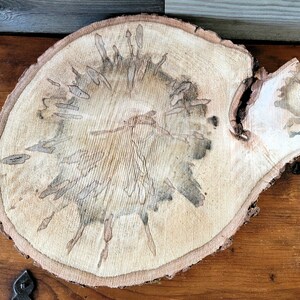 Maple Slab, Wood Slice, Large Live Edge Spalted Maple Tree Slice, Wood ...