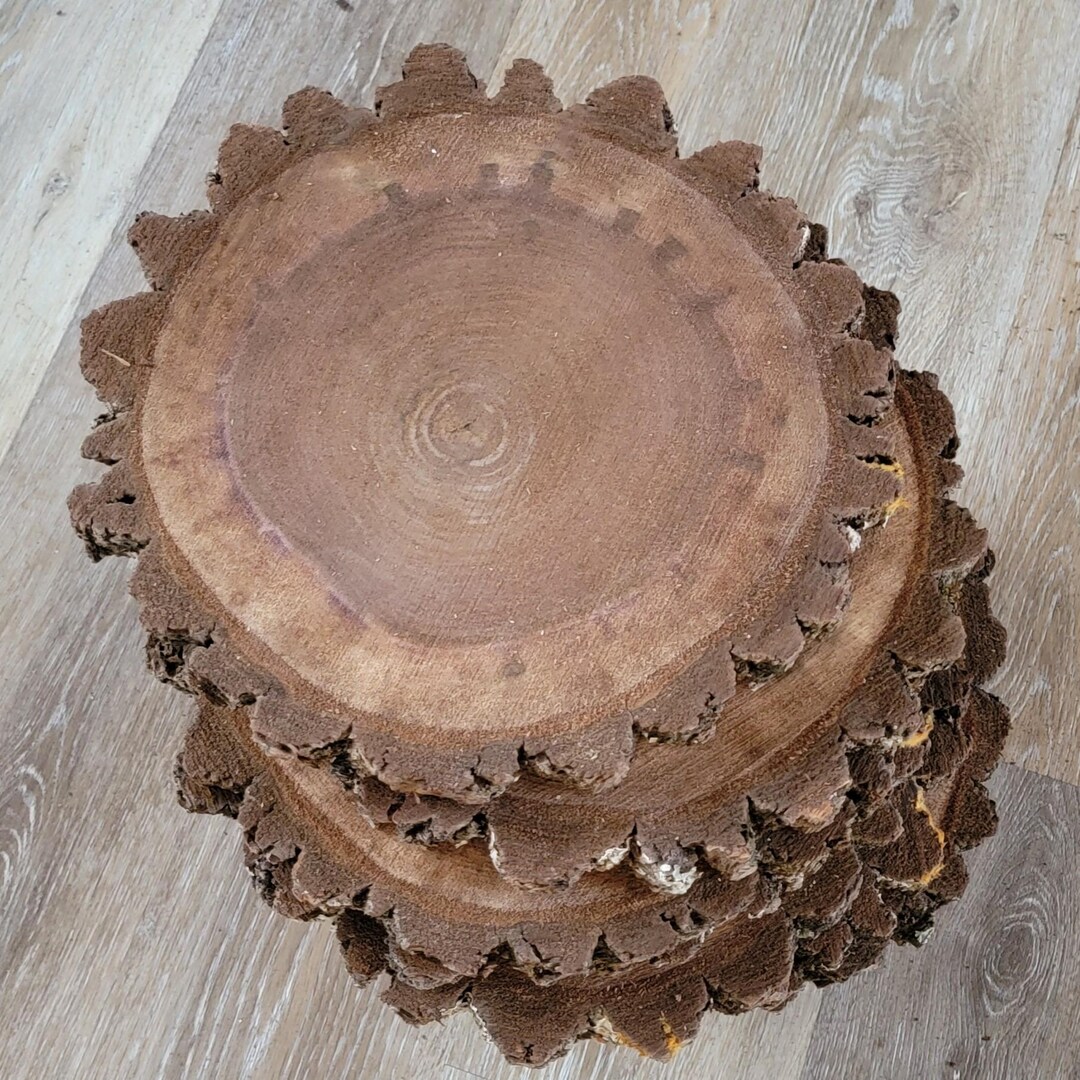 Set of 5 Walnut Wood Slices, 9-10" Rustic Wedding Centerpieces ...
