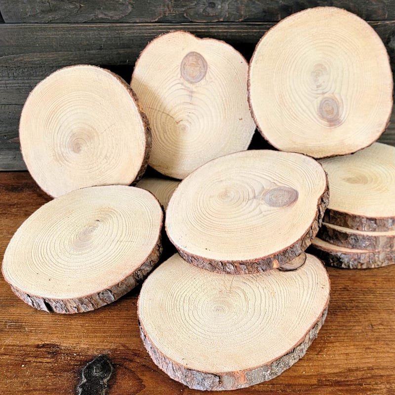 12 Inch Wood Slices - Etsy