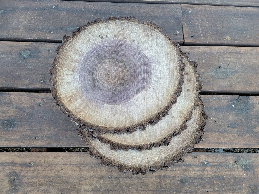 11 12 X1 Walnut Wood Slices, Set of 4 Black Walnut Slabs, Cookies ...