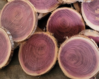 Cedar Slices | Etsy