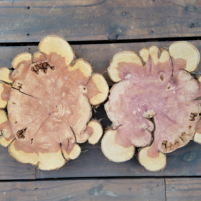 Red Cedar Slab - Etsy