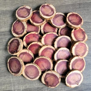 2" - 3" Red Cedar Wood Slices, Set of 30 Live Edge Tree Slices, Round ...