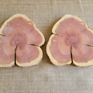 Set of 2 Red Cedar Wood Slices, Slabs, Cedar Wood Rounds, DIY ...