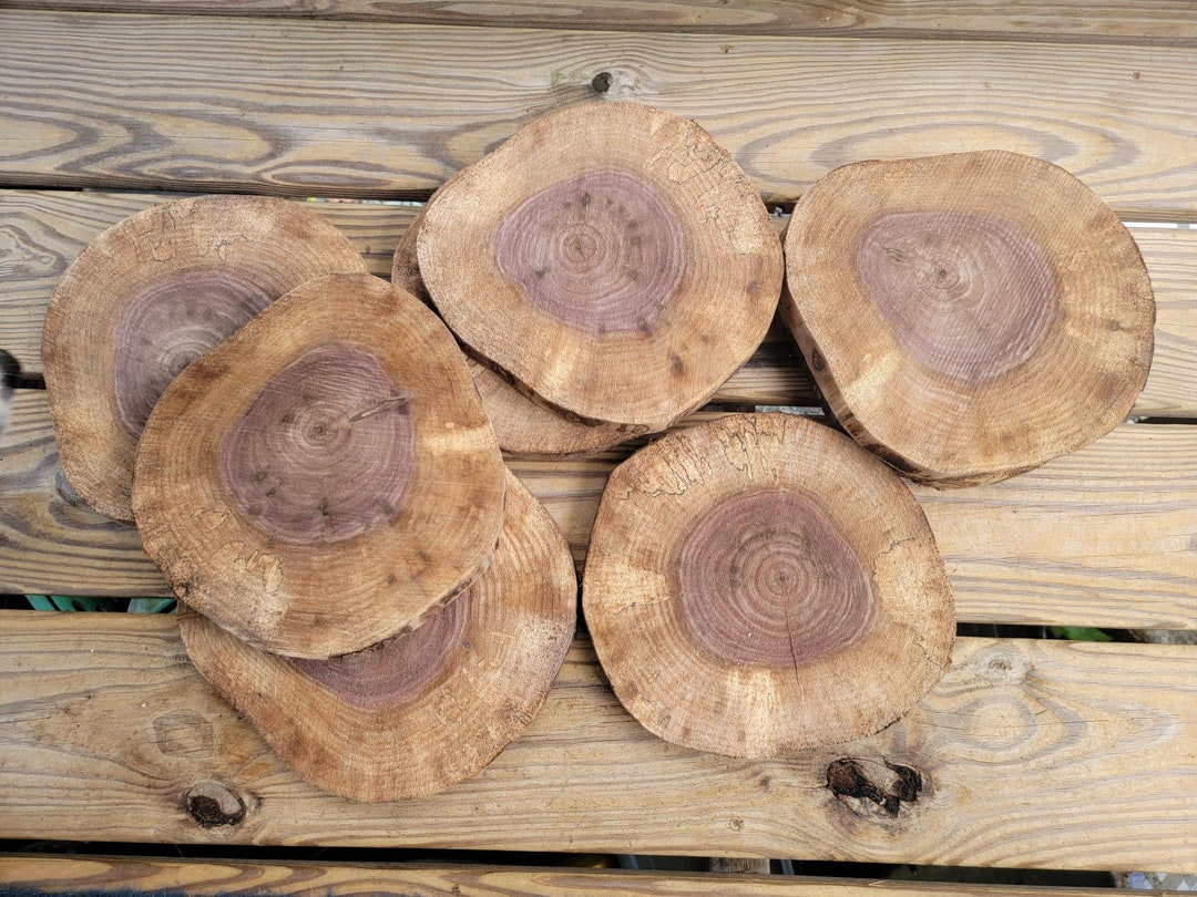 Walnut Wood Slices, 9" - 10" Rustic Wedding Centerpieces, Set of 7 Live ...
