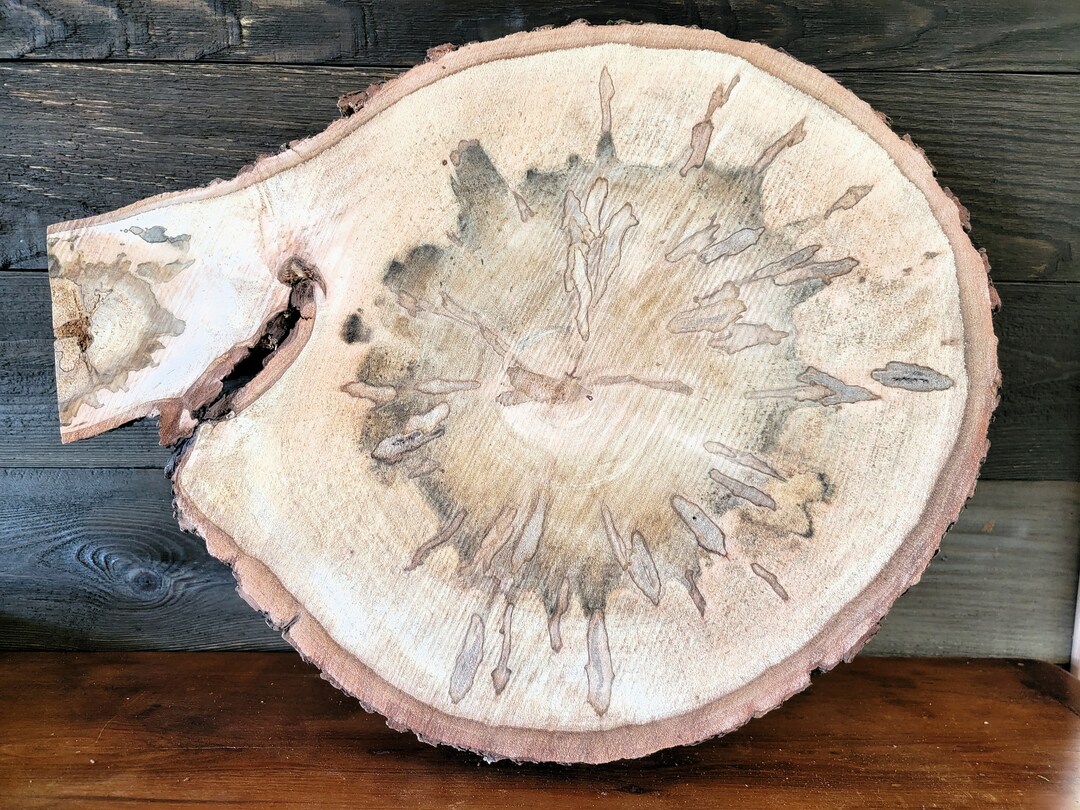 Maple Slab, Wood Slice, Large Live Edge Spalted Maple Tree Slice, Wood ...