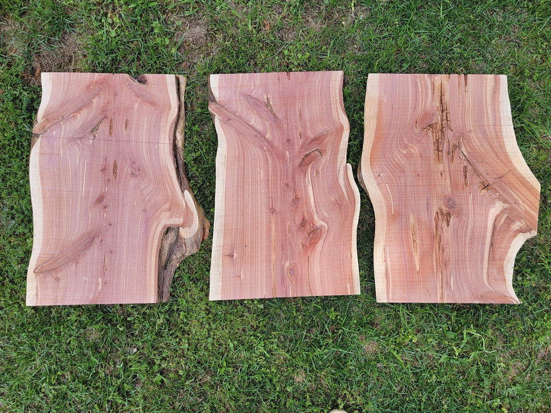 Set of 3 24 X 18 Live Edge Red Cedar Slabs, DIY Epoxy River Tables, End ...