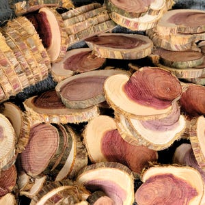 2" - 3" Red Cedar Wood Slices, Set of 30 Live Edge Tree Slices, Round ...