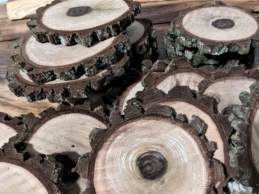 Black Walnut Wood Slices, Assorted Sizes and Quantity, 1 4, Craft Wood ...