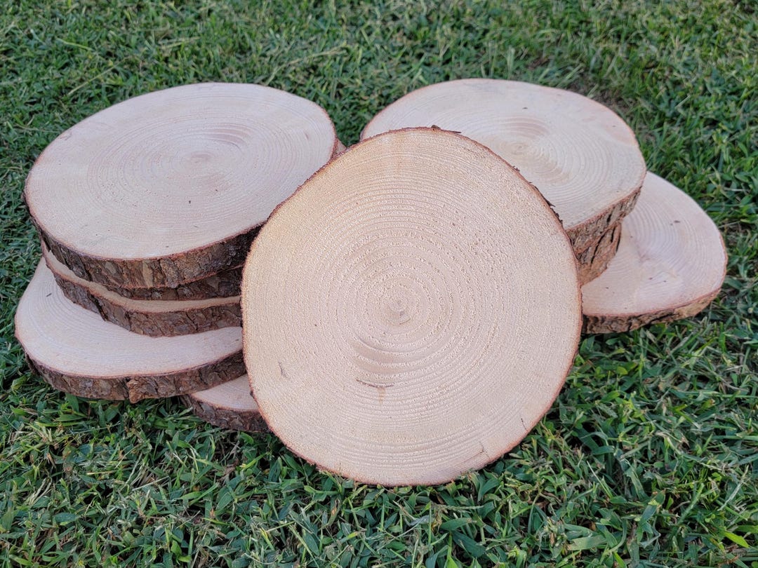 Set of 8 Pine Wood Slices, 7 8 X 1 Thick Rustic Wedding Centerpieces ...