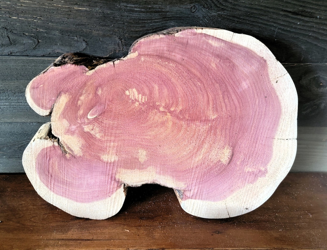 17" X 2" Thick Figured Red Cedar Slab, Tree Slice, Wood Slice, Oval ...