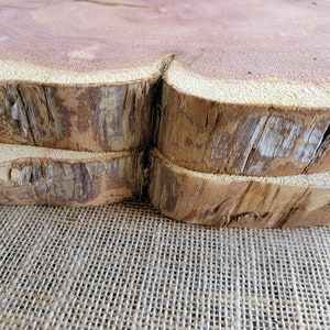 Set of 2 Red Cedar Wood Slices, Slabs, Cedar Wood Rounds, DIY ...