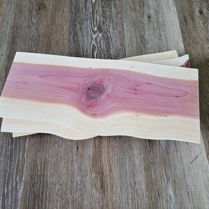 Set of 3 Red Cedar Sign Blanks, Planed and Sanded Live Edge Cedar ...
