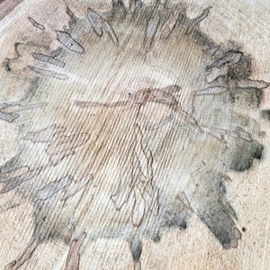 Maple Slab, Wood Slice, Large Live Edge Spalted Maple Tree Slice, Wood ...