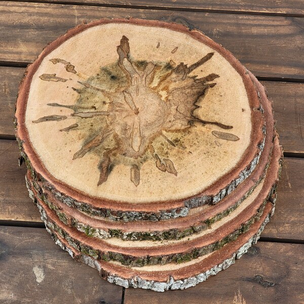 12 Inch Wood Slices - Etsy