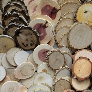 Assorted Wood Slice Variety Pack: Rustic DIY Crafts & Decor (1-3.5 Inch ...
