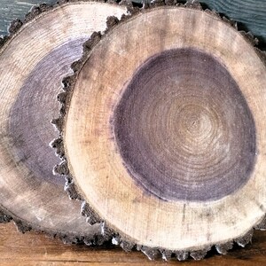 14 15 Walnut Wood Slices, Slabs, Set of 2 Rustic Wedding Centerpieces ...