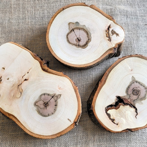 Wood Slice Centerpiece - Etsy