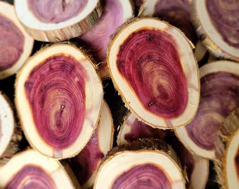 Cedar Wood Slices | Etsy