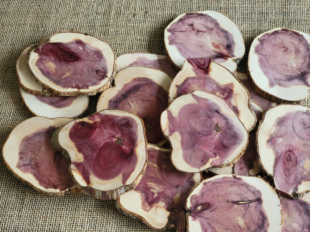 Wood Slices, Set of 20 Red Cedar Live Edge Tree Slices, Wood Rounds ...