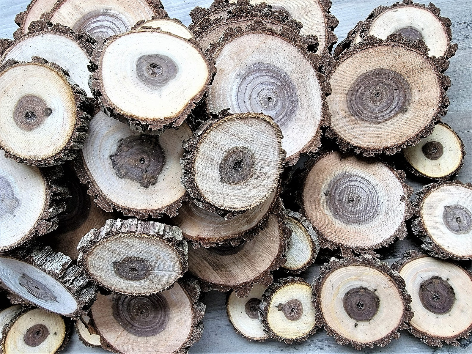 Black Walnut Wood Slices Assorted Sizes and Quantity 1 - Etsy