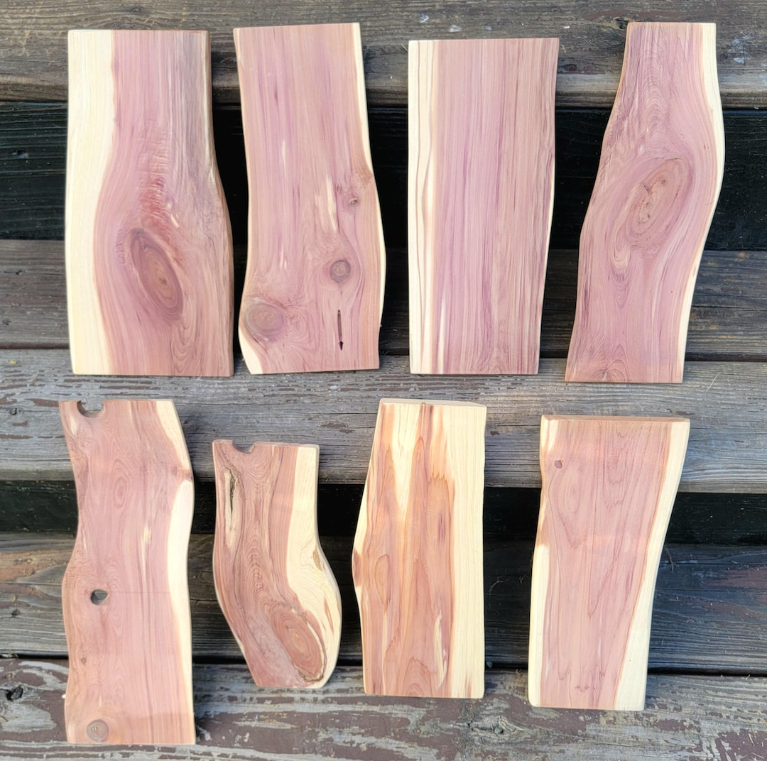 Live Edge Red Cedar Sign Blanks: DIY Wood Burning Project - Set of 8 - Etsy