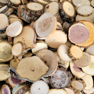 Qty of 100 Wood Slice Variety Pack 1" - 2" Assorted Tree Slices, DIY ...