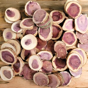 2" - 3" Red Cedar Wood Slices, Set of 30 Live Edge Tree Slices, Round ...