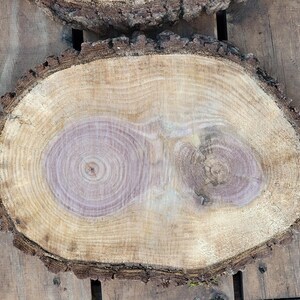 Black Walnut Slabs, Tree Cookies, Set of 2 Rustic Wedding Centerpieces ...