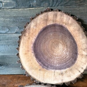 14 15 Walnut Wood Slices, Slabs, Set of 2 Rustic Wedding Centerpieces ...