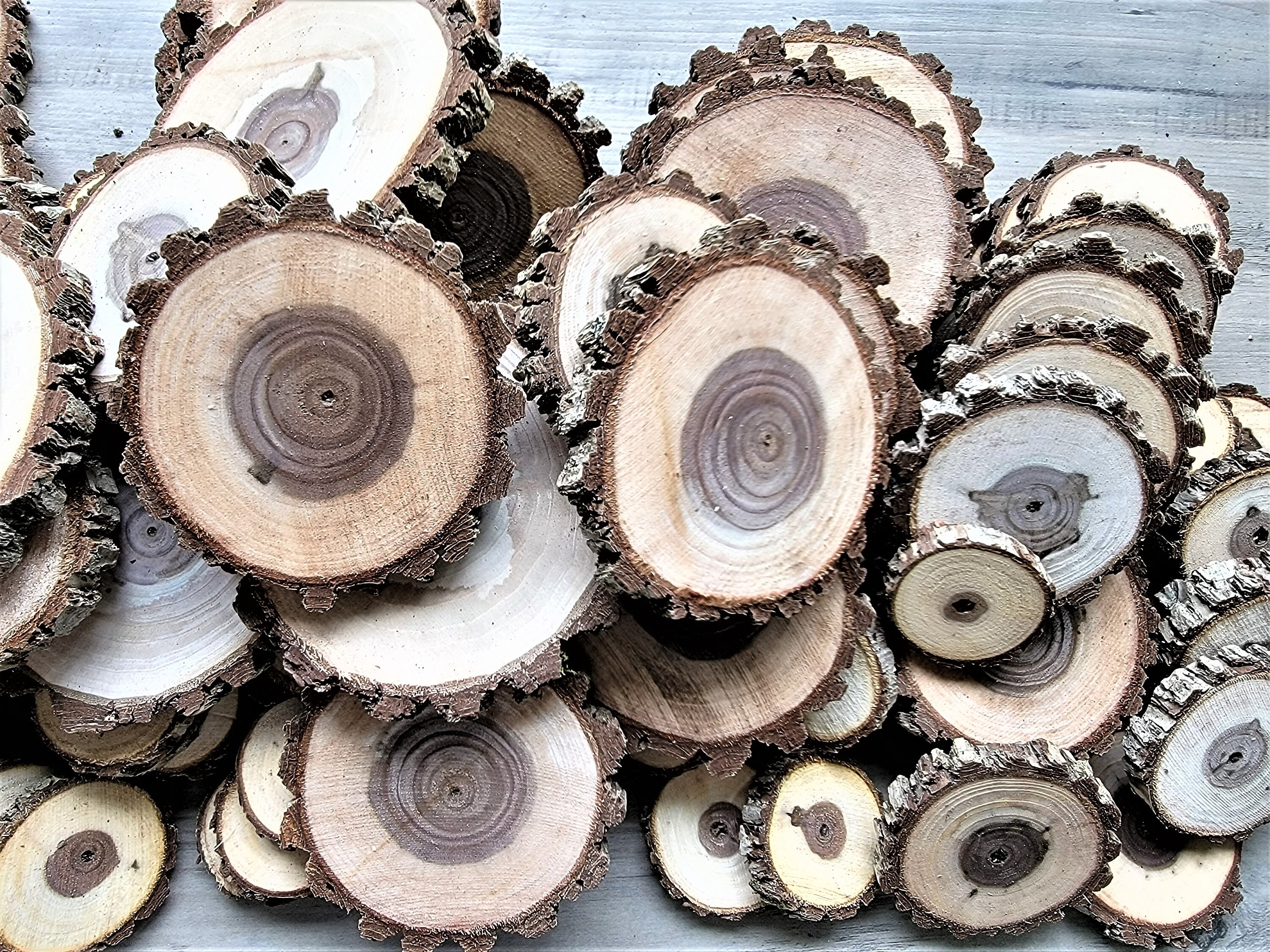 Black Walnut Wood Slices Assorted Sizes and Quantity 1 - Etsy