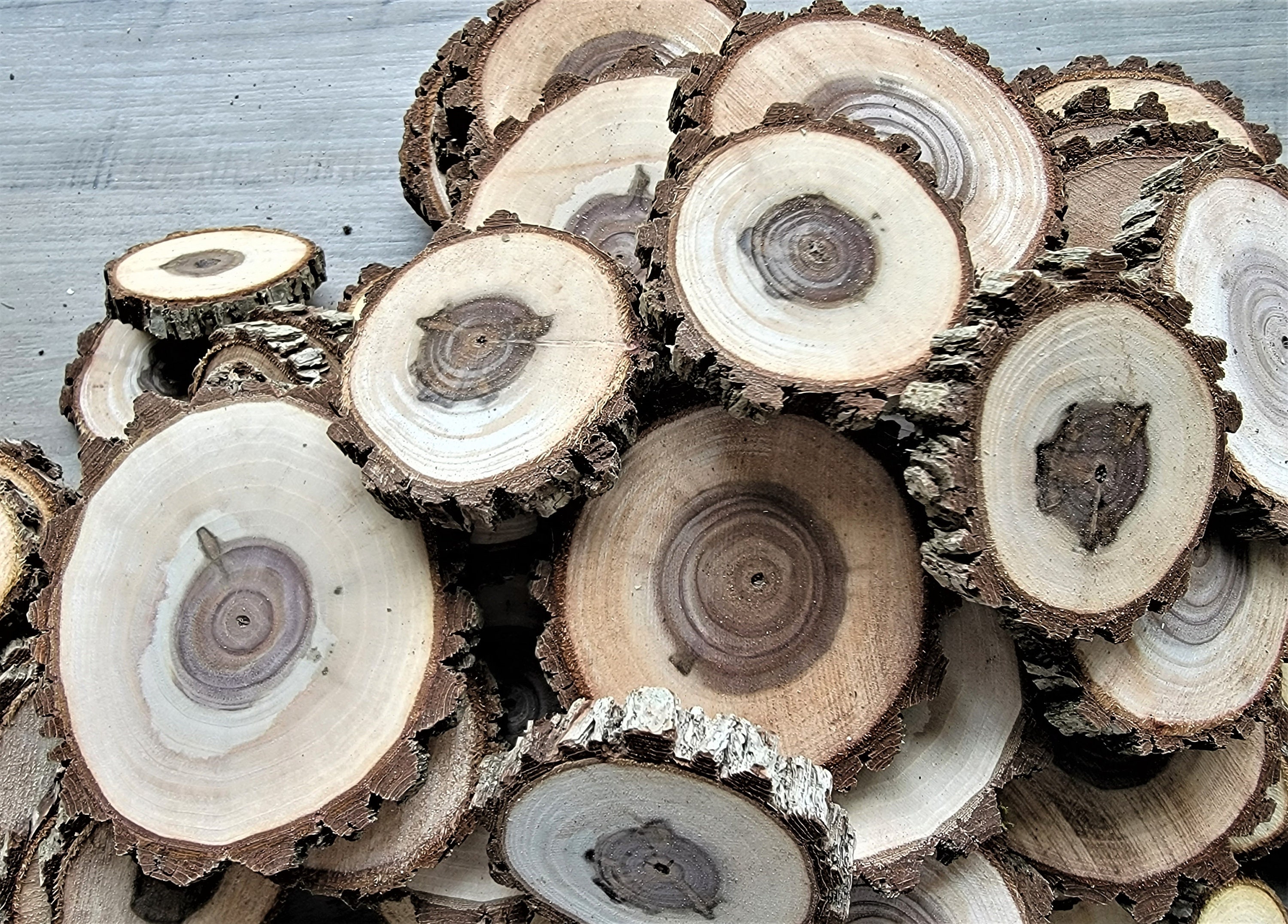 Black Walnut Wood Slices Assorted Sizes and Quantity 1 - Etsy