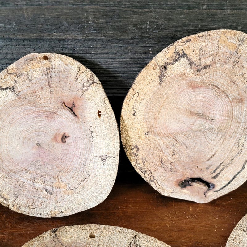 Oak Wood Slice - Etsy