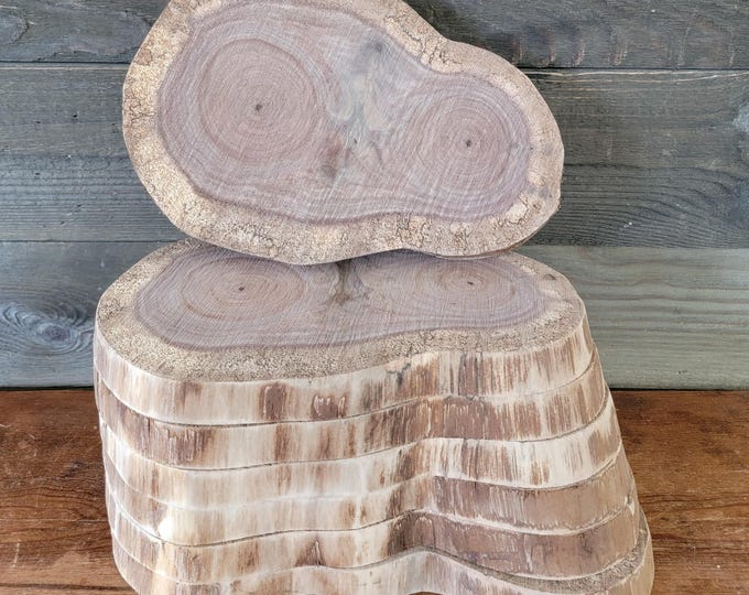 Set of 2 Red Cedar Slabs, 16" - 17" Wood Slices, Cookies, Centerpieces ...