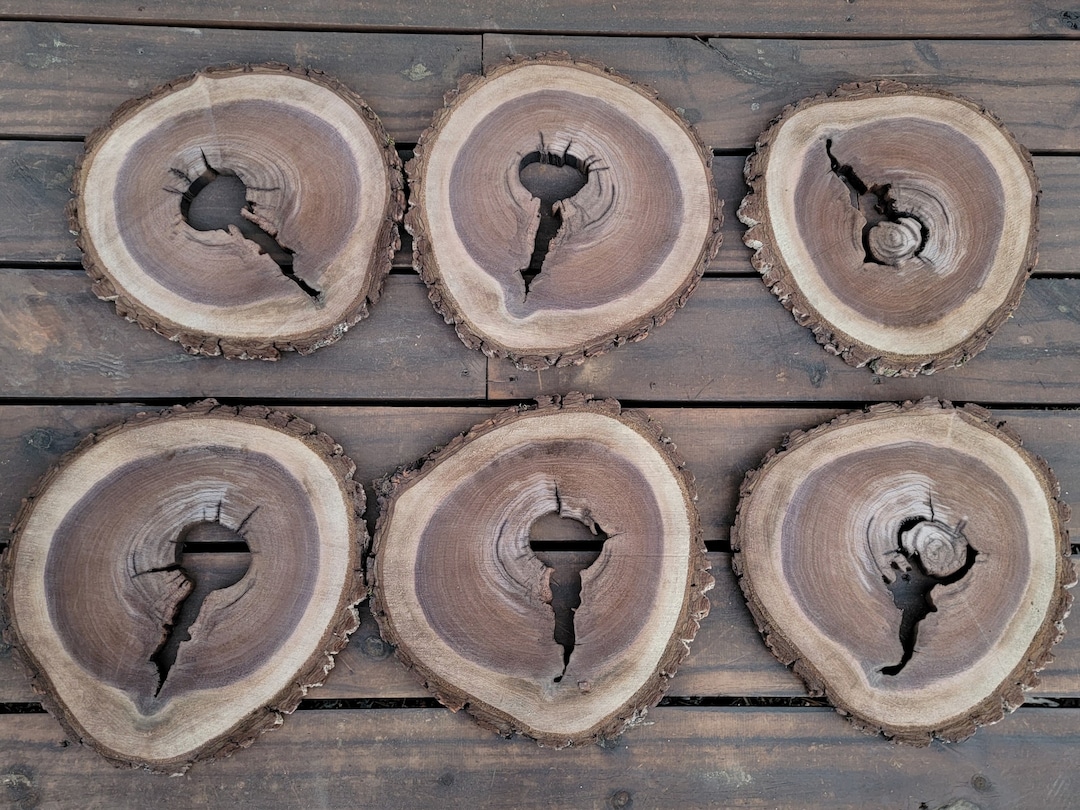 Set of 2 Black Walnut Slabs, 15" DIY Tabletops, Epoxy Project Wood ...