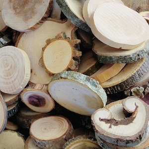 Qty of 100 Wood Slice Variety Pack 1" - 2" Assorted Tree Slices, DIY ...