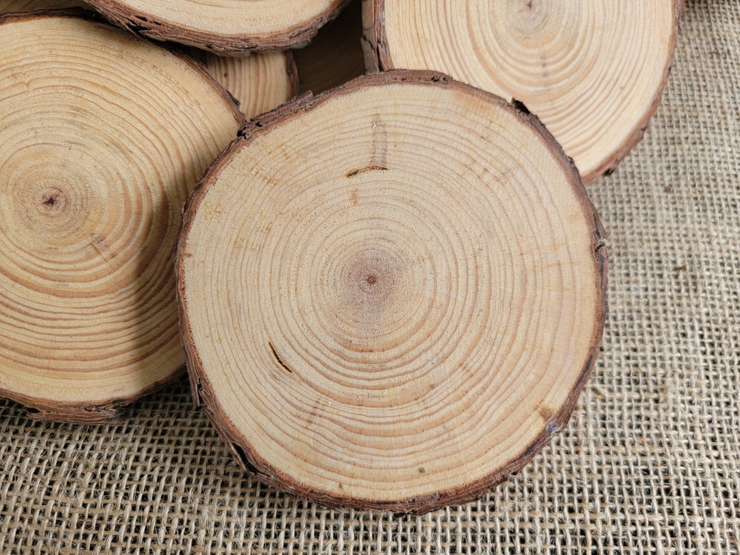 24 Pine Wood Slices, Tree Slices, DIY Coasters, Rustic Wedding, Wood ...