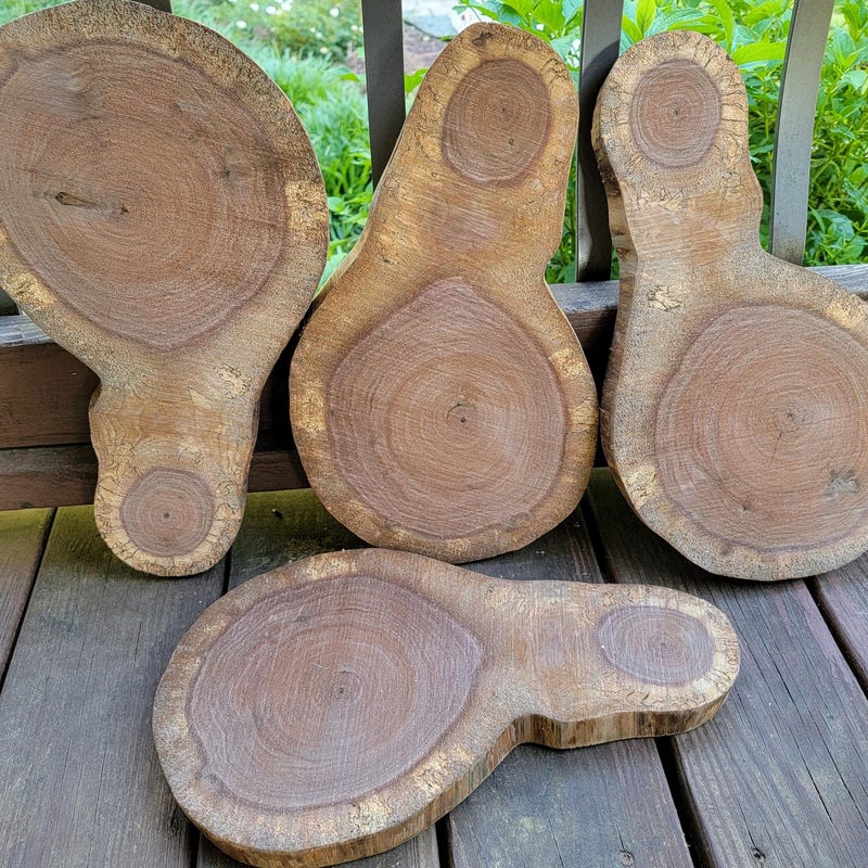 Irregular Wood Slice - Etsy