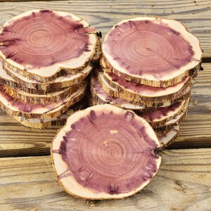 Red Cedar Wood Slices, Live Edge Tree Slices, DIY Coasters, Ornaments ...