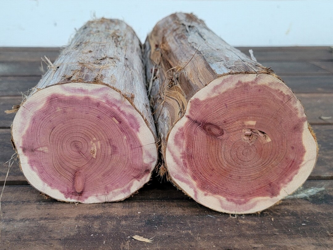 18 Red Cedar Log 5 5.5 Diameter, Rustic Fireplace Decor, Plant Stand ...