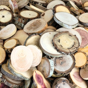 Qty of 100 Wood Slice Variety Pack 1" - 2" Assorted Tree Slices, DIY ...