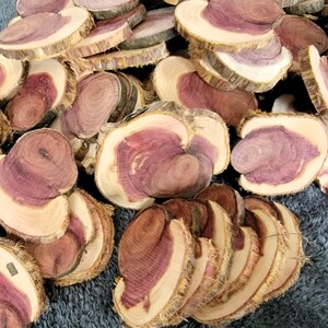 2" - 3" Red Cedar Wood Slices, Set of 30 Live Edge Tree Slices, Round ...