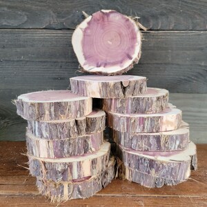 Set of 12 Red Cedar Wood Slices, 1 Thick Cookies, Wood Rounds, Tree ...