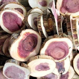 2" - 3" Red Cedar Wood Slices, Set of 30 Live Edge Tree Slices, Round ...