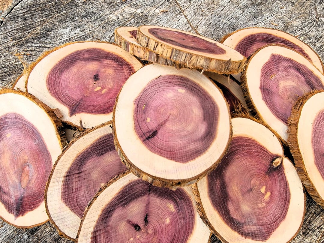 4" - 4.25" Red Cedar Wood Slices, Set of 20 Cookies, Wood Rounds, Tree ...