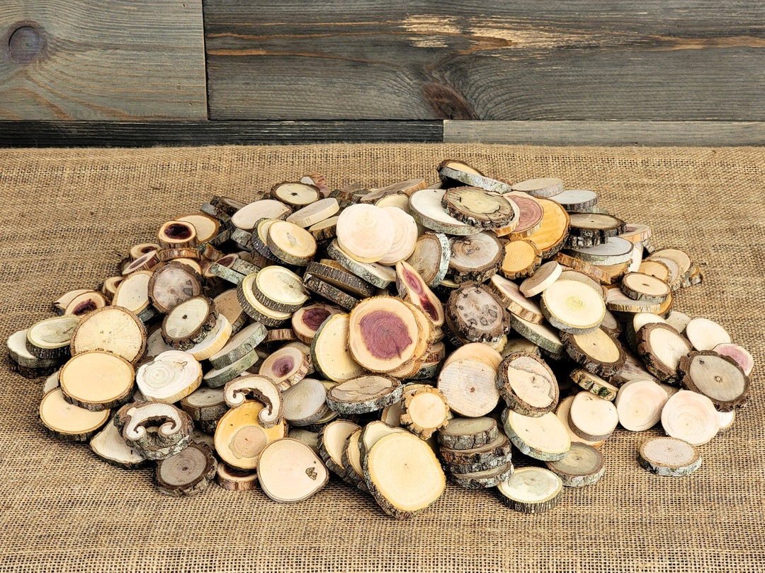 Small Wood Slices: Assorted Species, Rustic Wedding Table Decor (100 ...