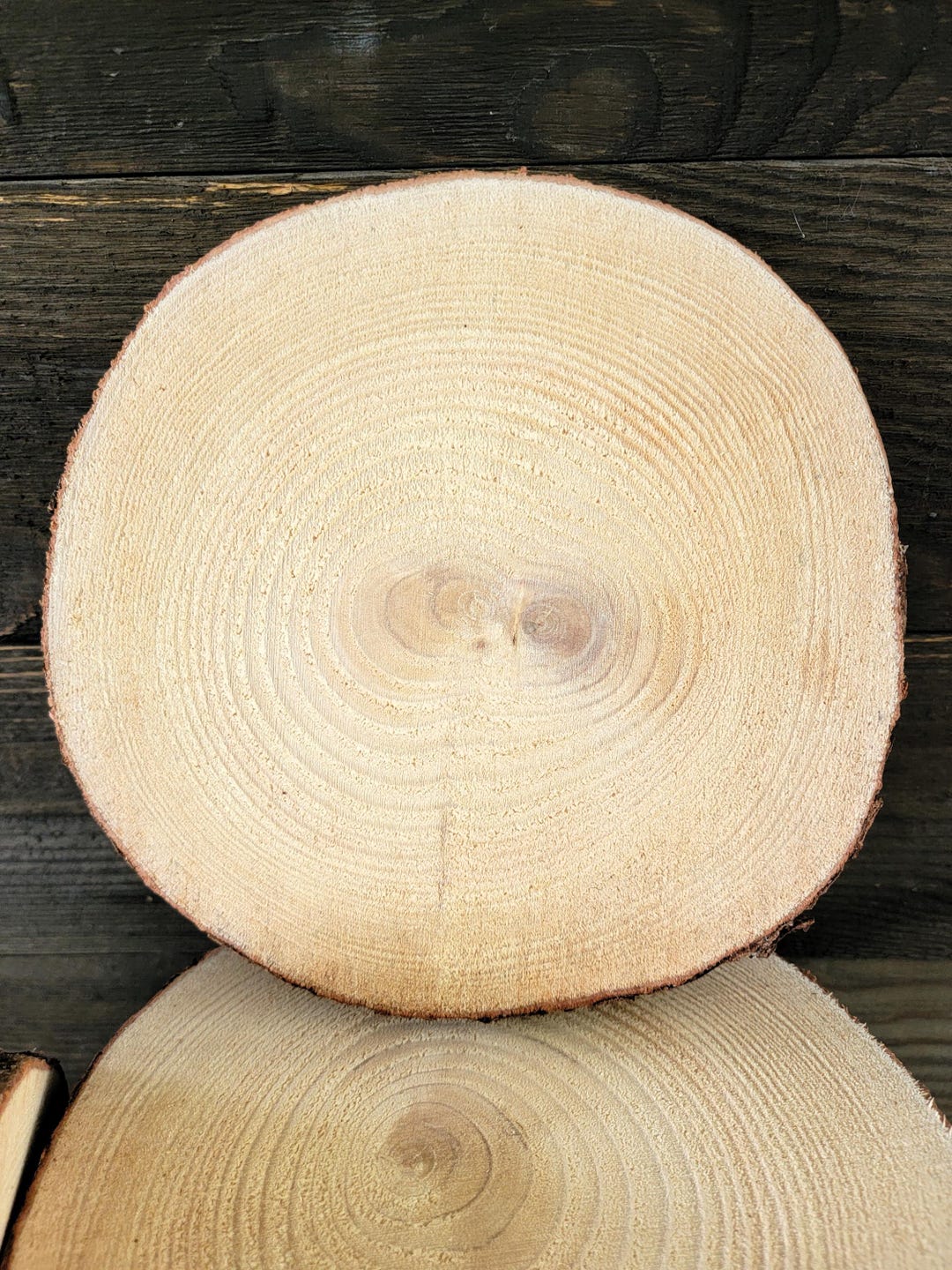 Set of 6 Pine Wood Slices, 7" - 8" X 1" Thick Rustic Wedding ...