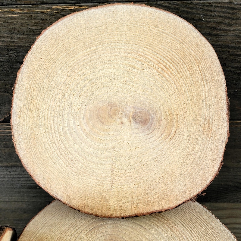 woodslicedepot - Etsy