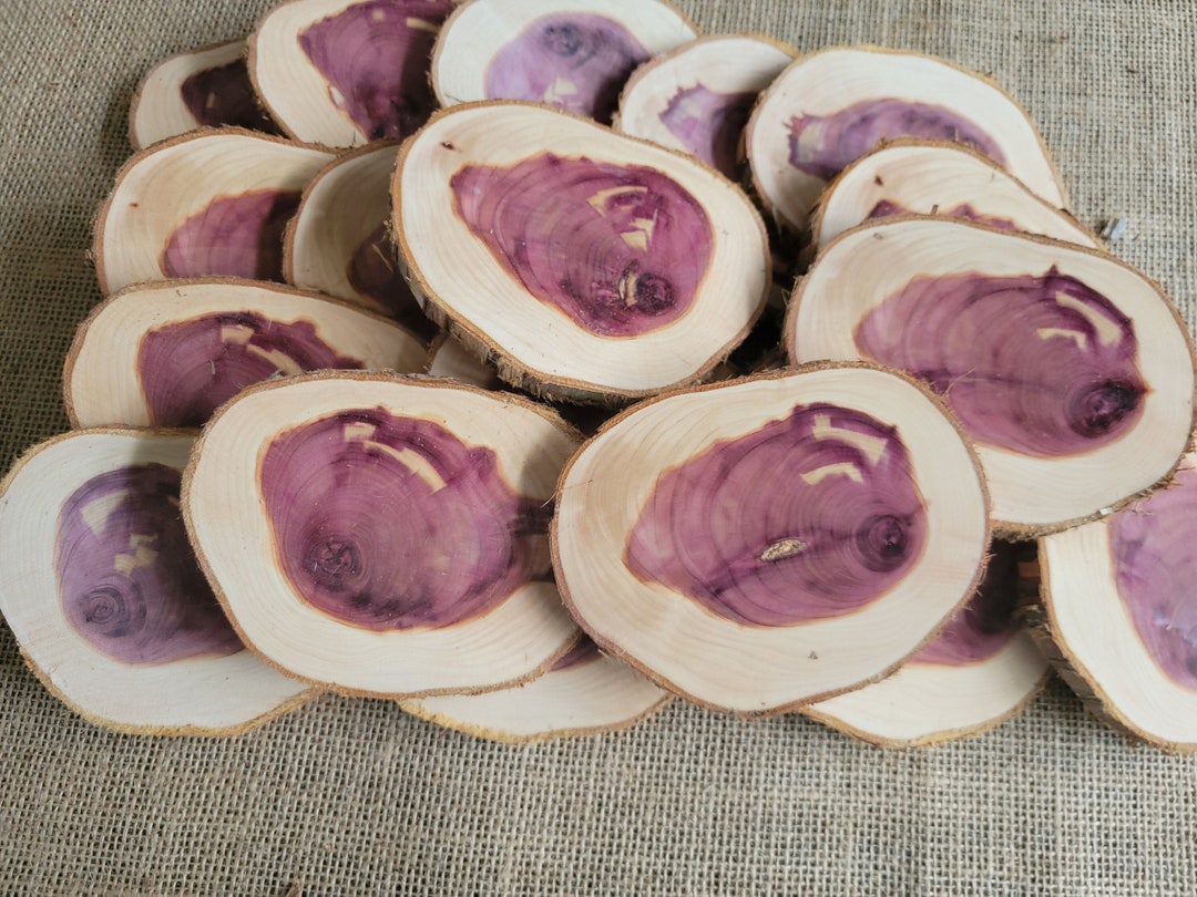 18 Red Cedar Wood Slices, 5 Live Edge Wood Rounds, Coasters, DIY ...